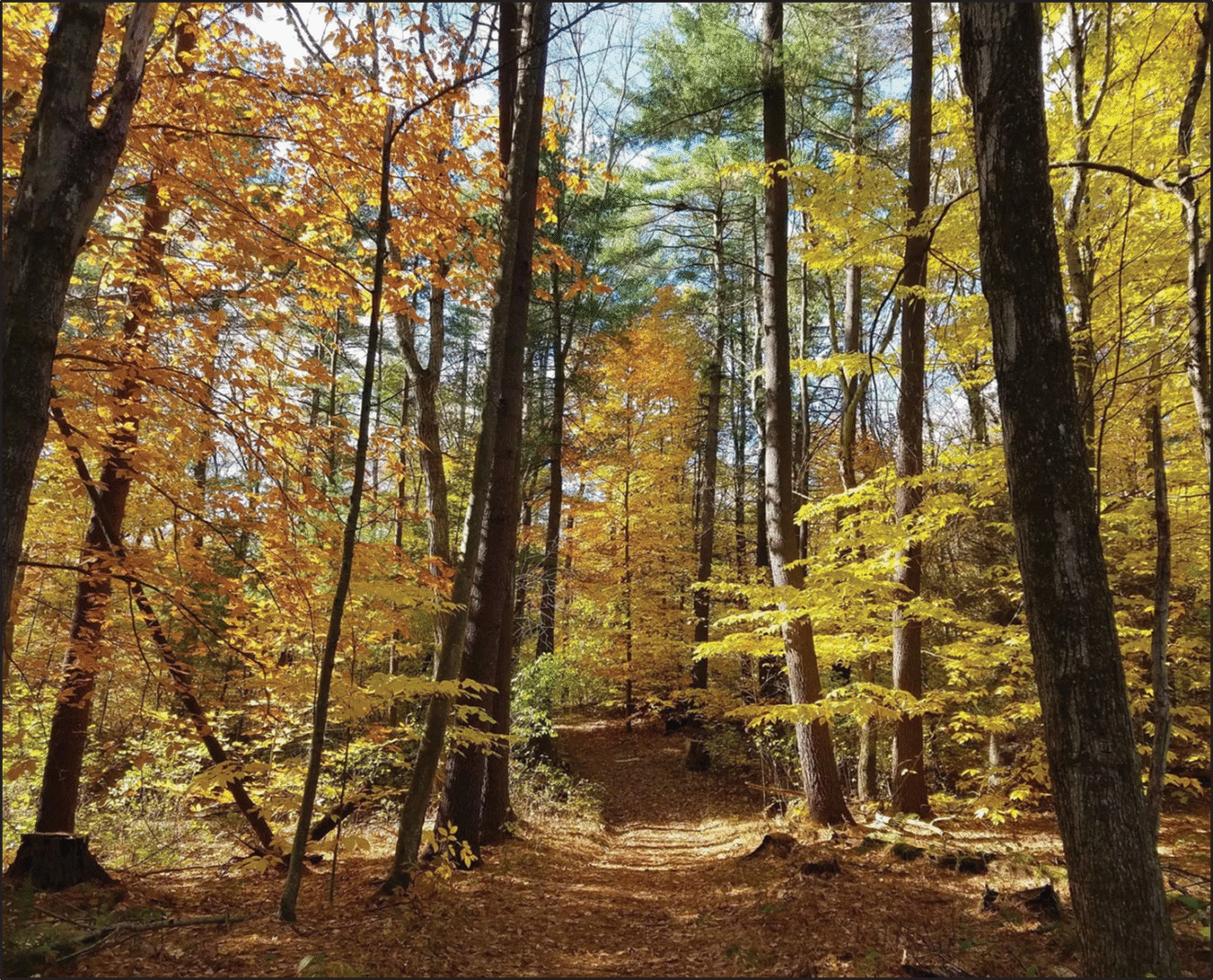 Waylandpost – Informing, engaging, connecting our community.