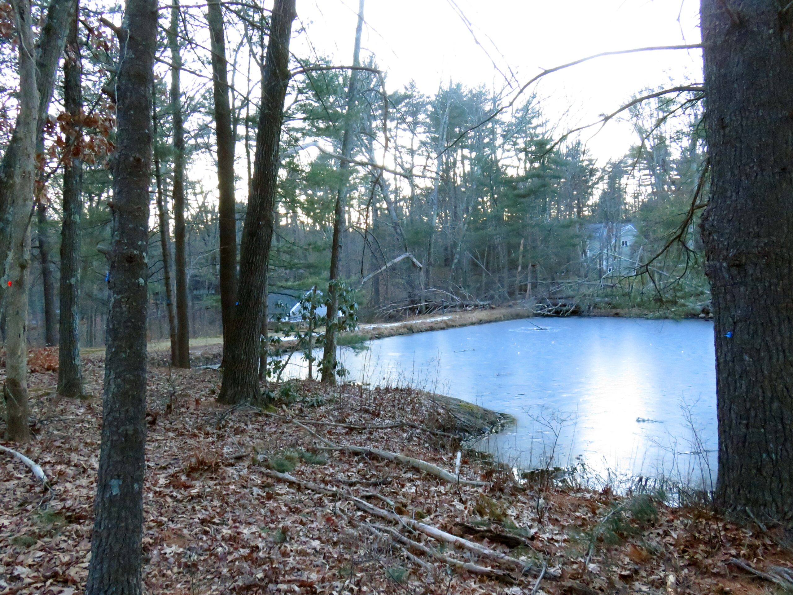 State gives funding for Snake Brook Dam repairs - Waylandpost